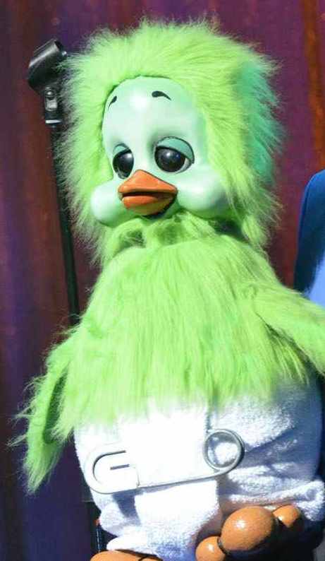 Picture of Orville the Duck