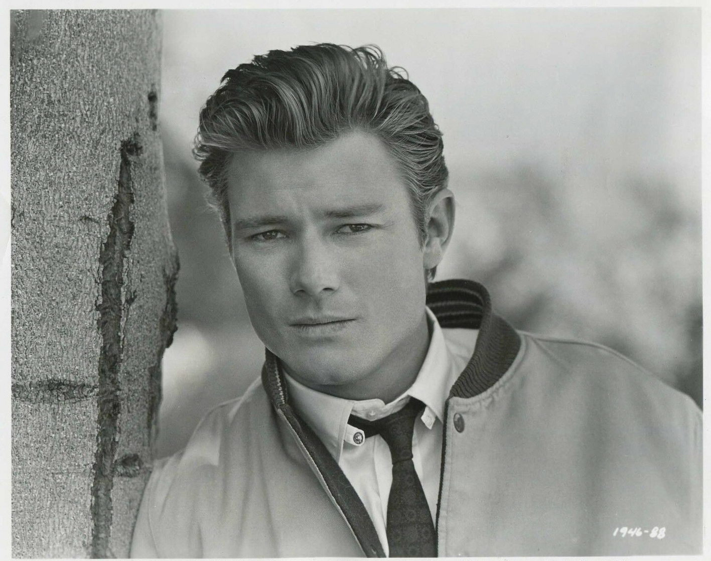Picture of Michael Parks