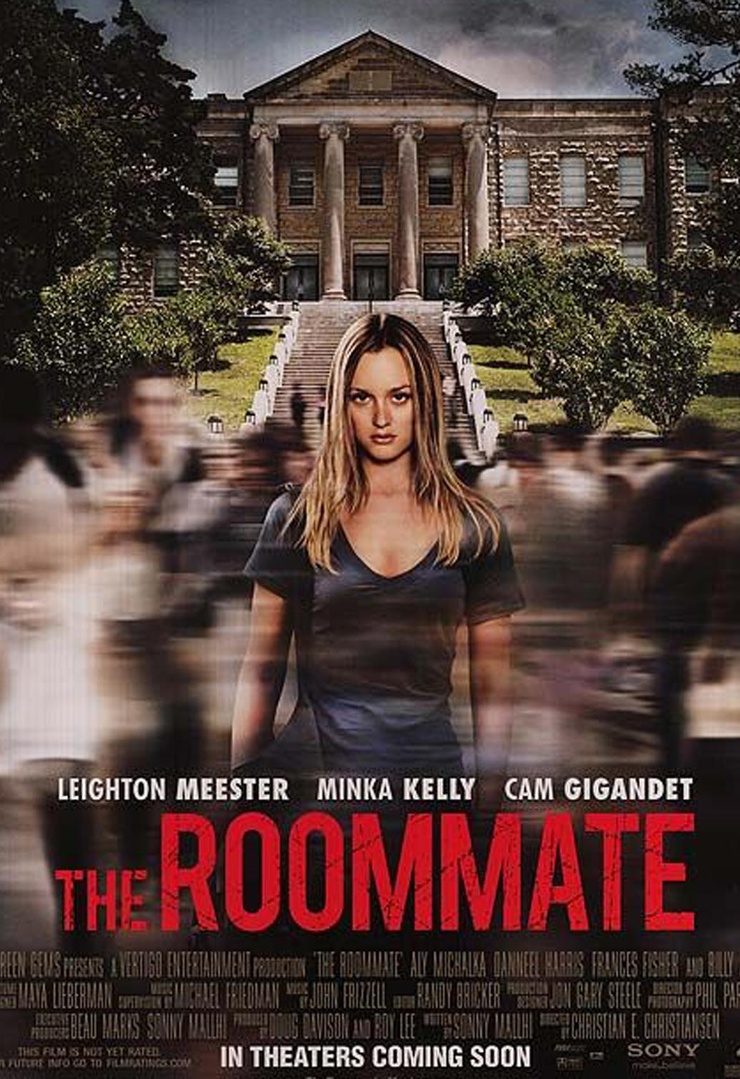 Picture of The Roommate