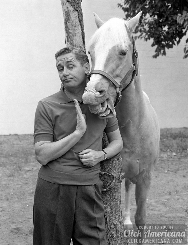 Image of Mister Ed