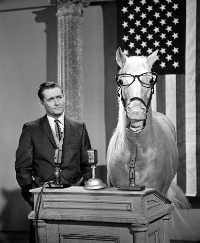 Picture of Mister Ed