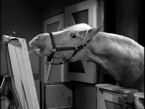 Mister Ed image