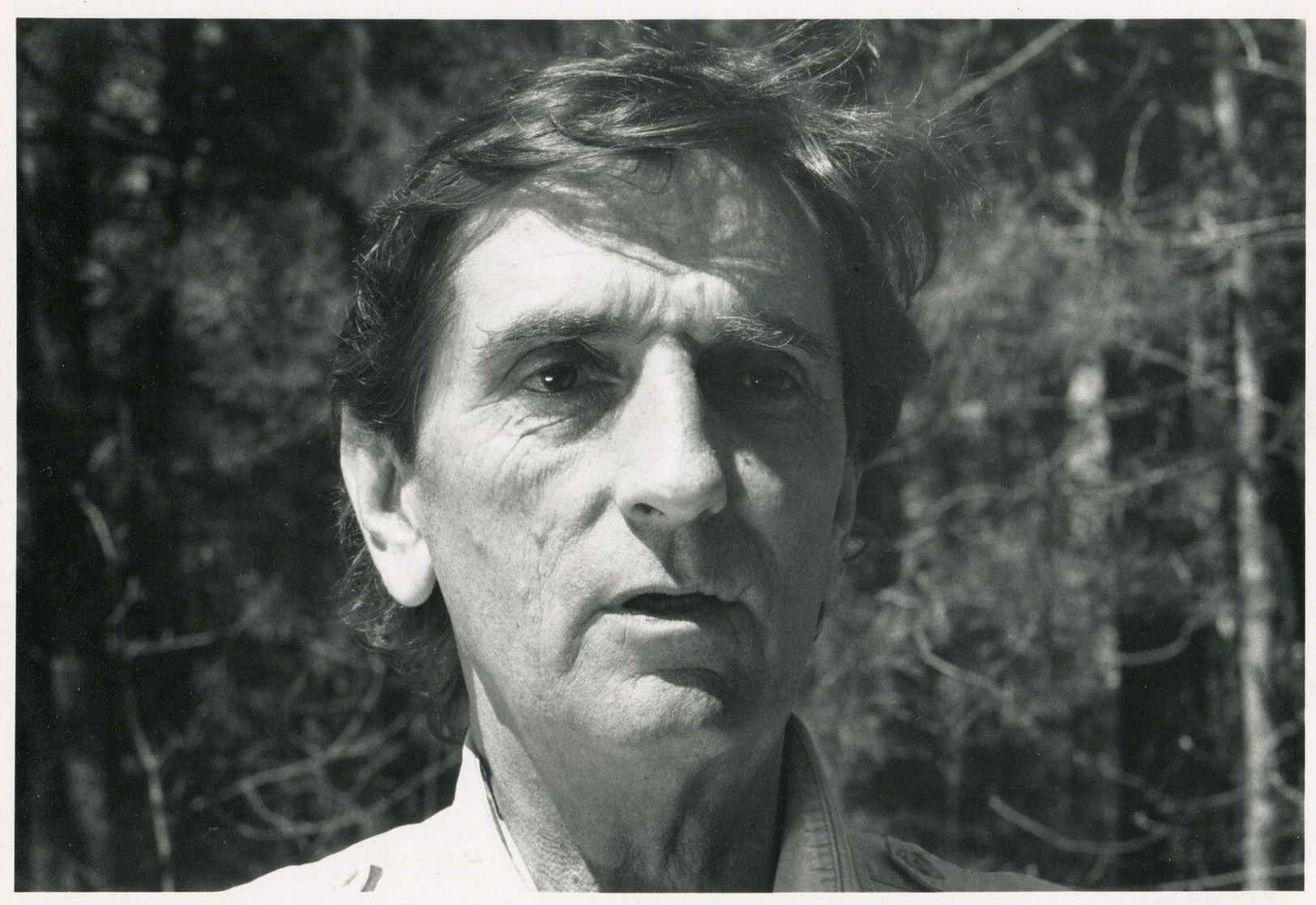 Harry Dean Stanton image