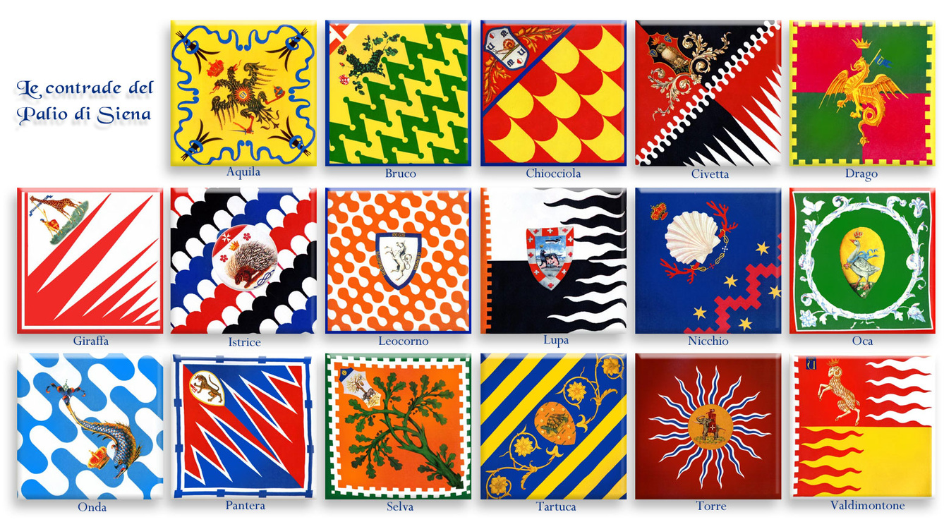Il Palio di Siena image