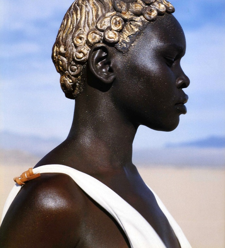 Picture of Alek Wek