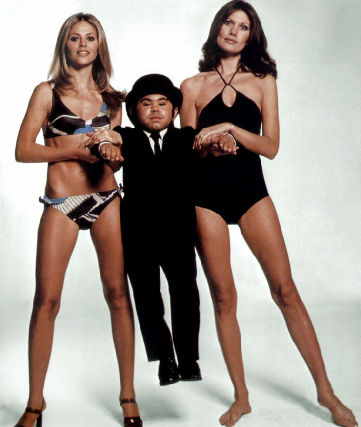 Hervé Villechaize image