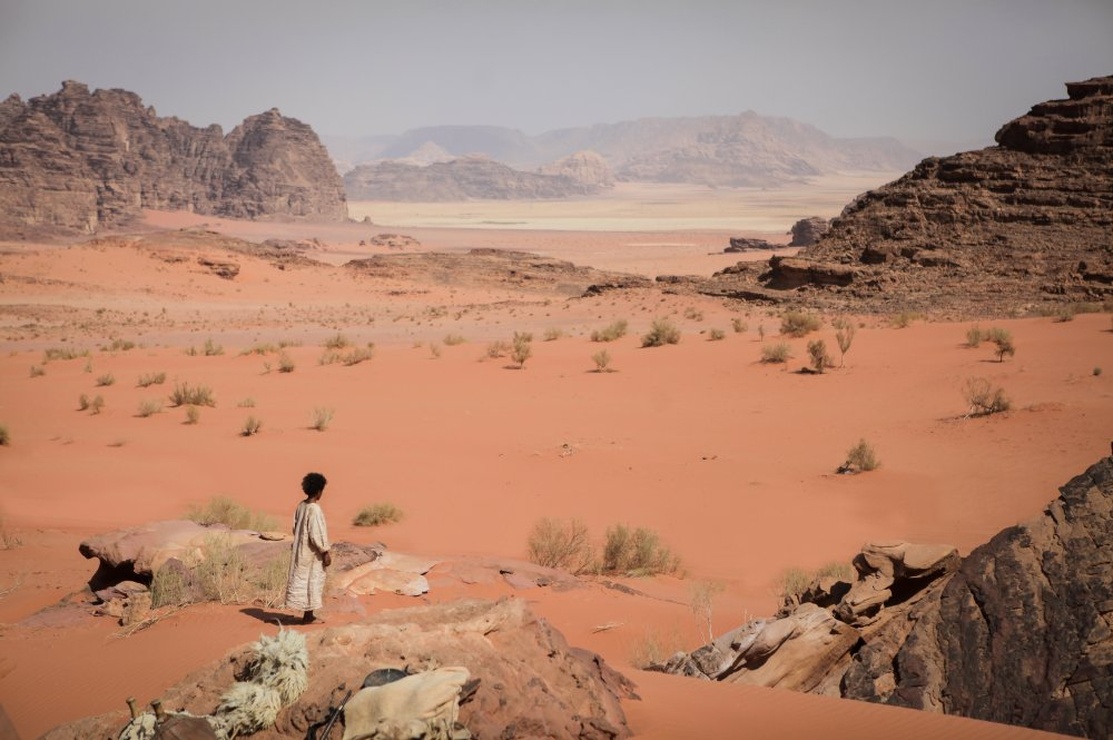 Picture of Theeb