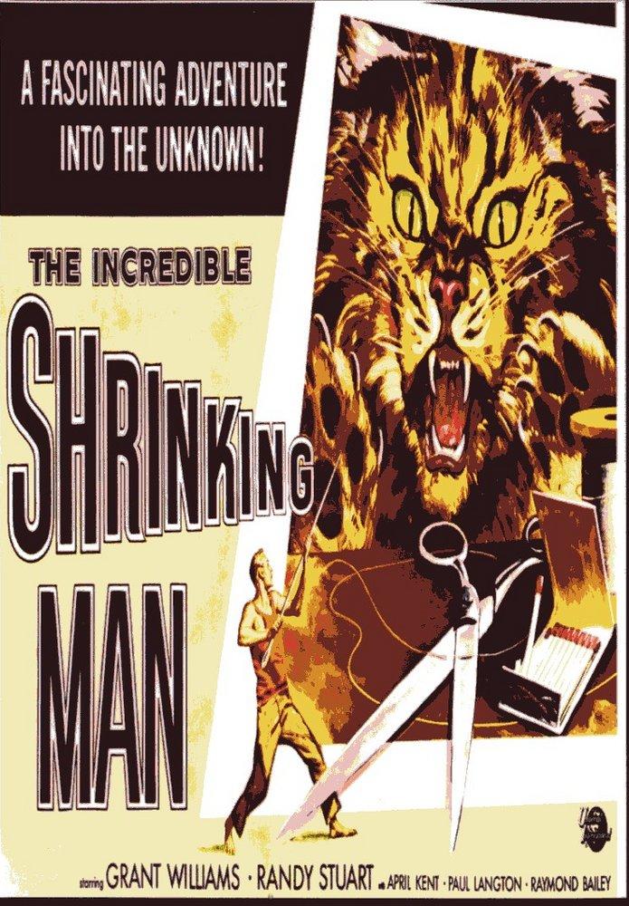 Picture of The Incredible Shrinking Man