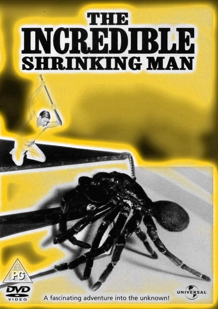 The Incredible Shrinking Man image