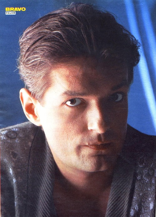 Falco picture