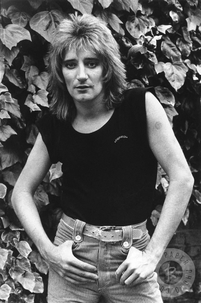 Rod Stewart image