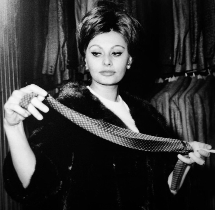 Picture of Sophia Loren