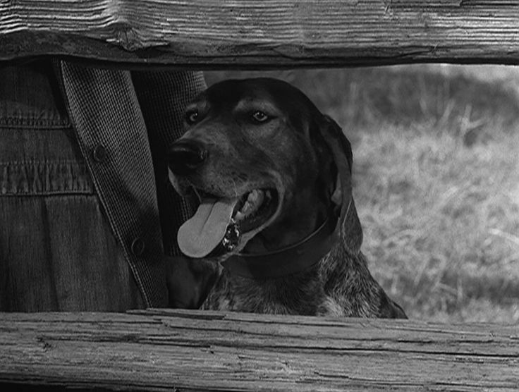 Picture of The Twilight Zone