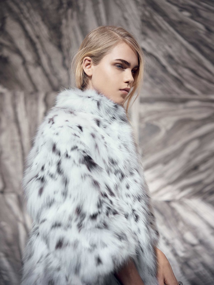 Picture of Line Brems