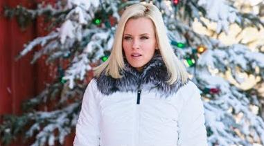 Picture of Santa Baby 2: Christmas Maybe