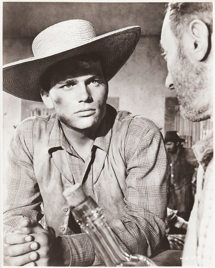 Picture of Patrick Wayne