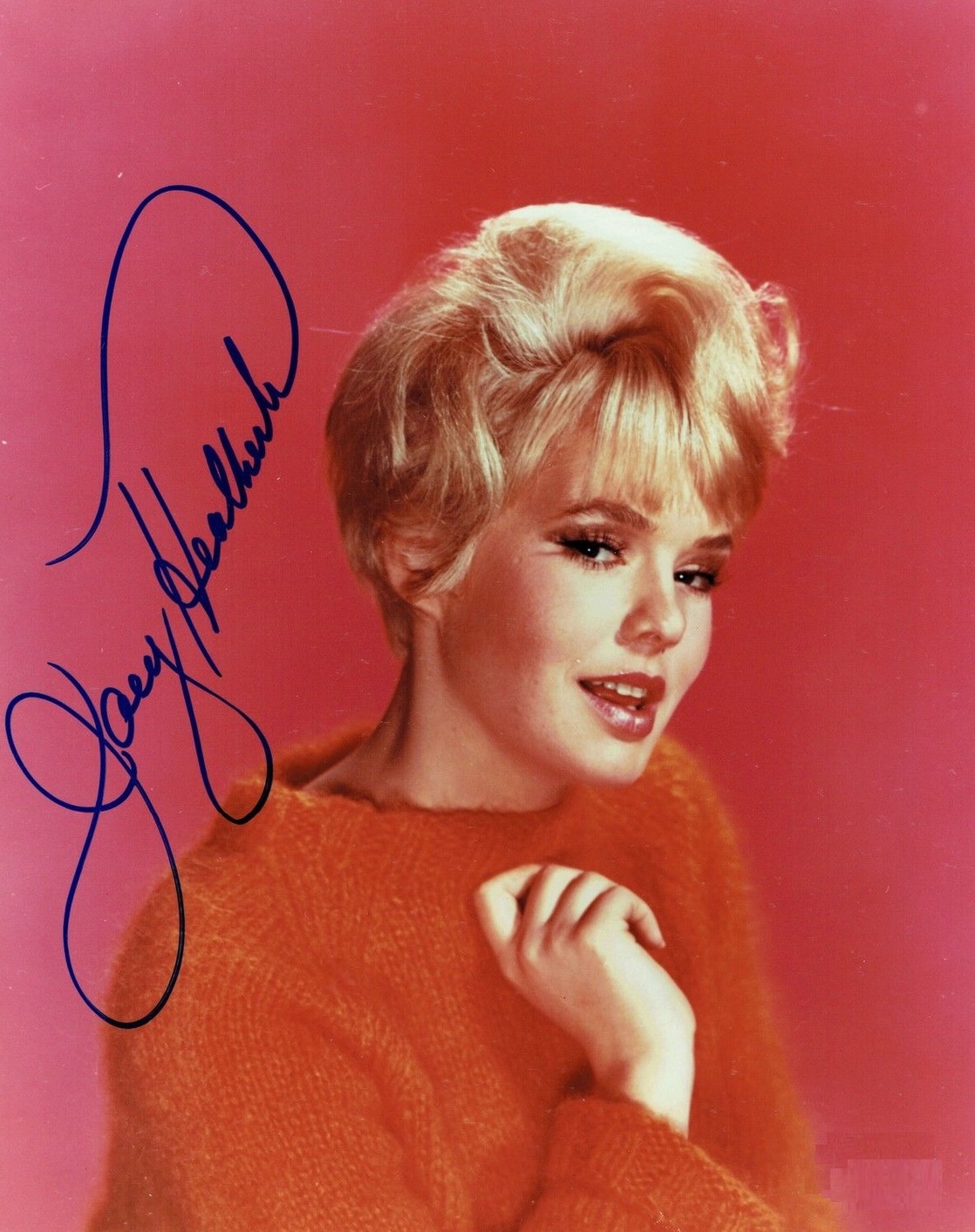 Picture of Joey Heatherton