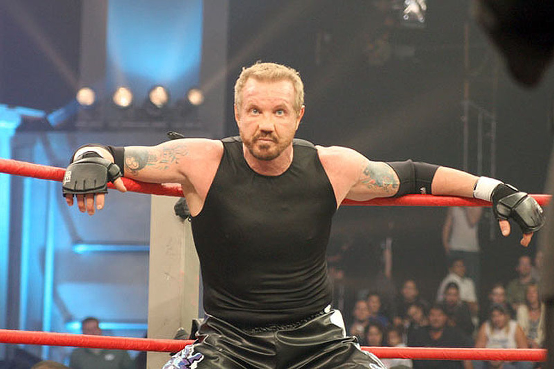 Picture of Diamond Dallas Page