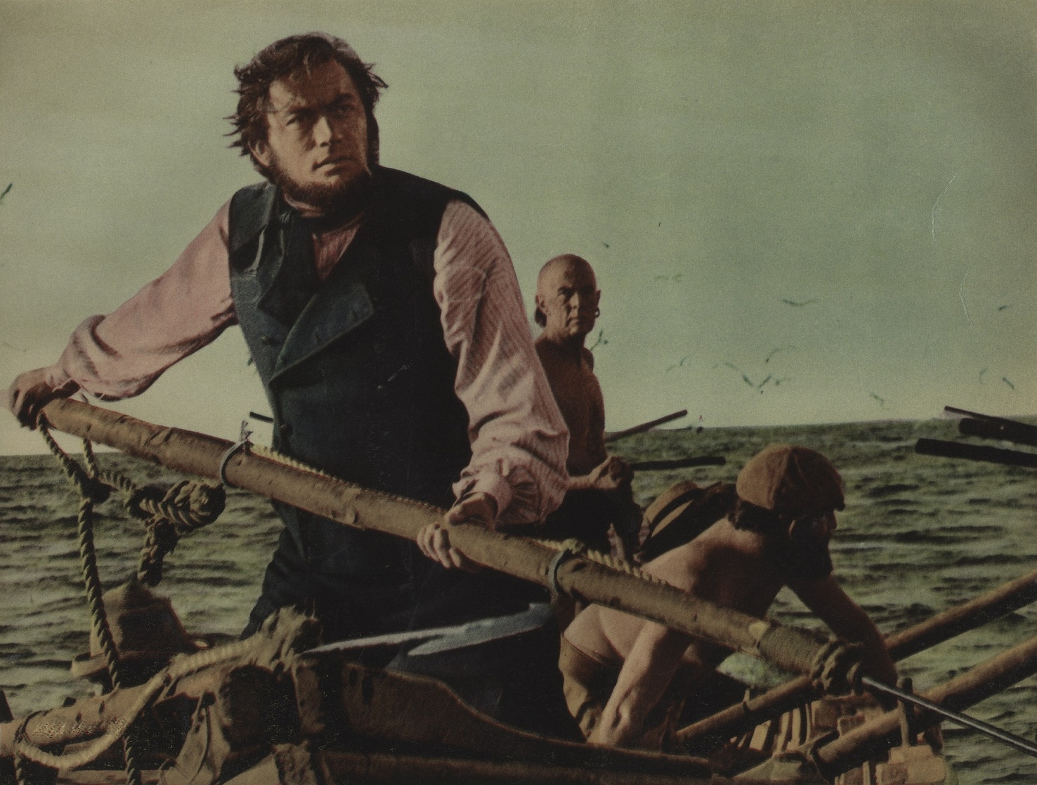 Picture of Moby Dick