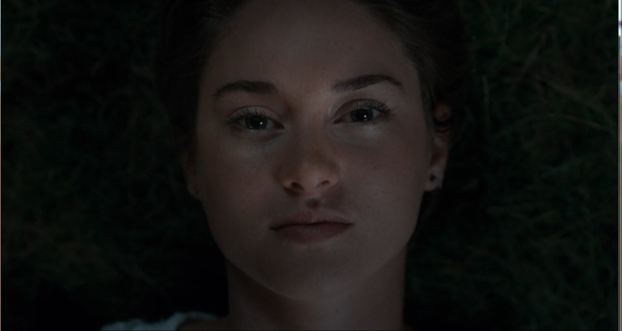 Picture of The Fault in Our Stars