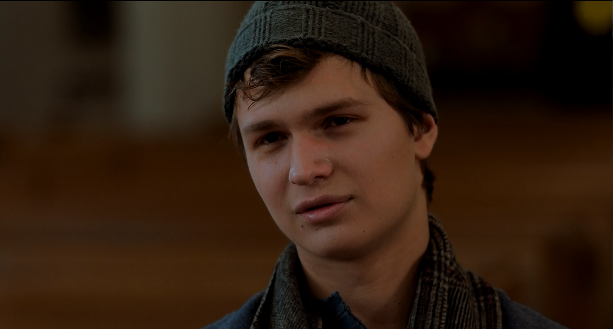 Picture of The Fault in Our Stars