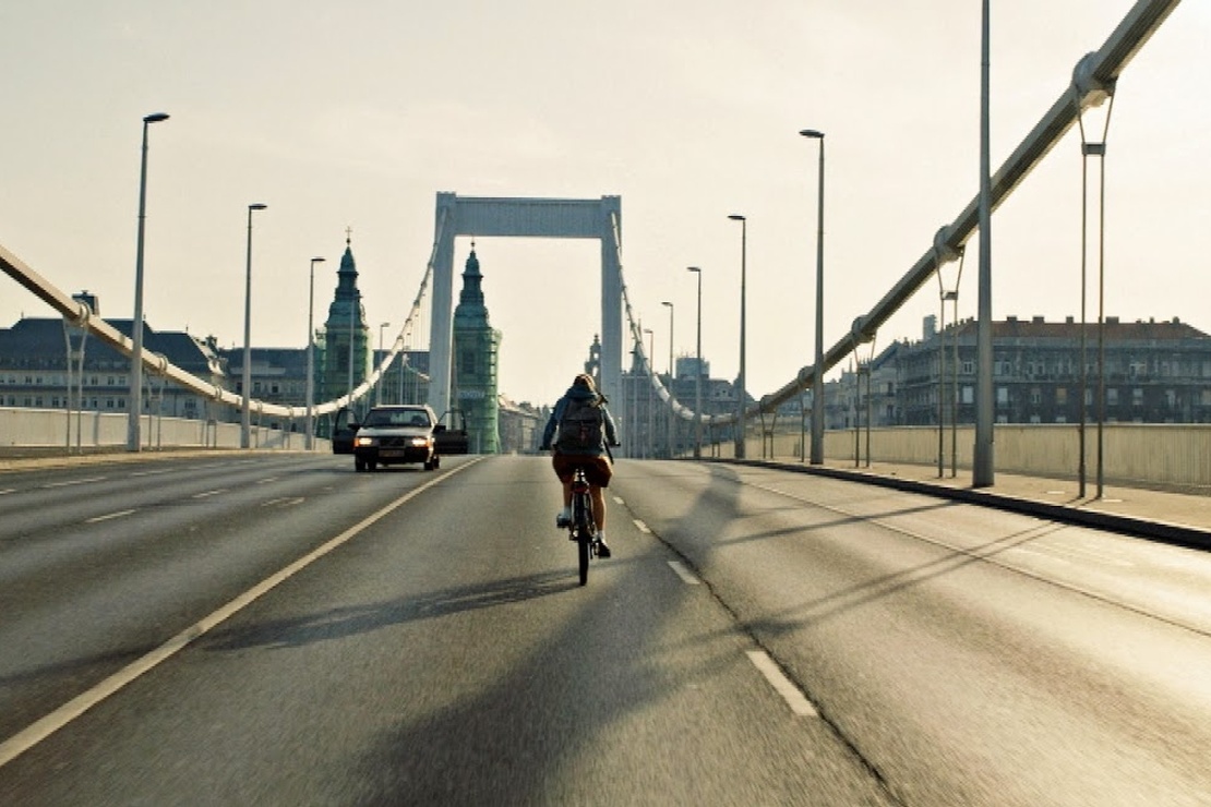 Picture of White God