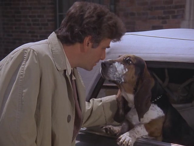 Picture of Columbo: Forgotten Lady