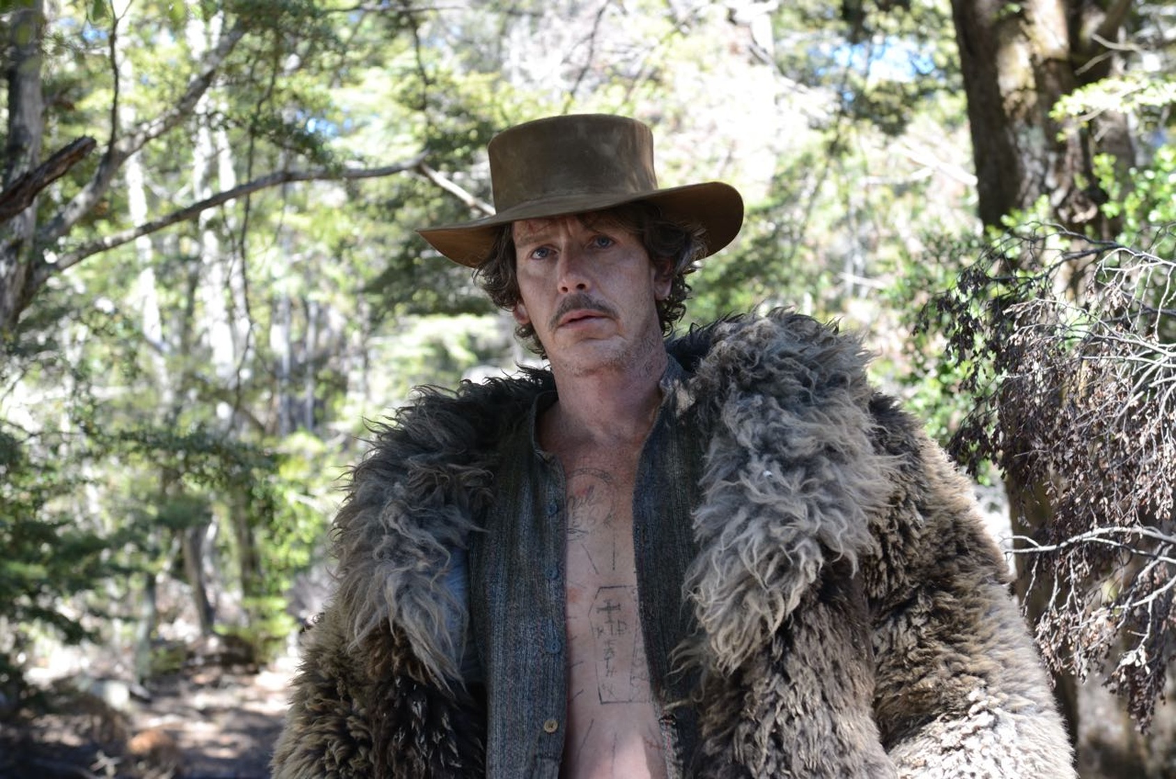 Picture Of Slow West