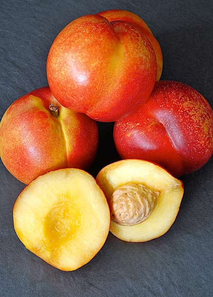 Picture of Nectarine