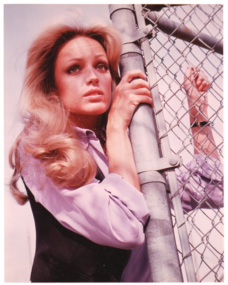 Picture of Susan Anton