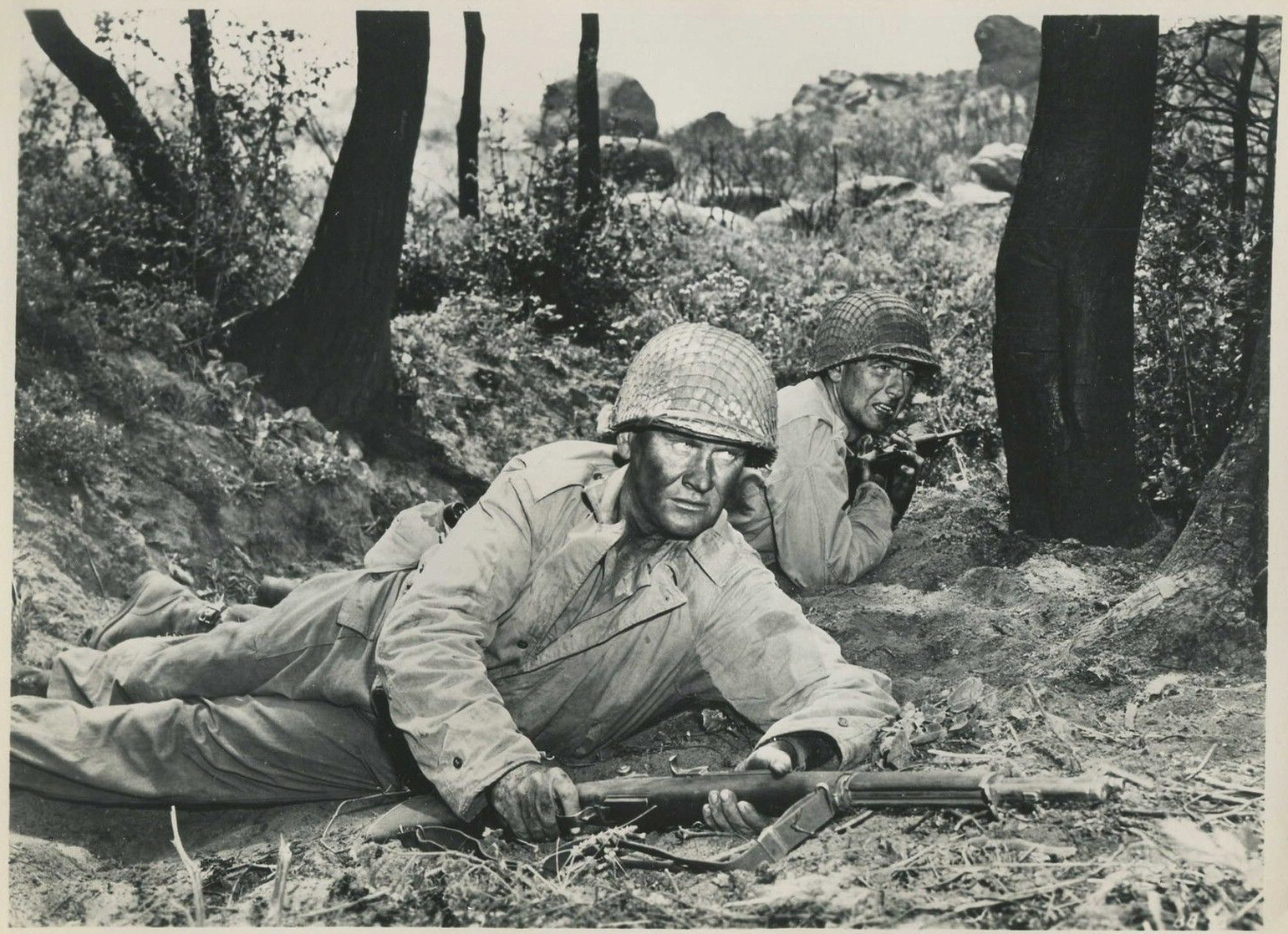 Wendell Corey, Don Taylor