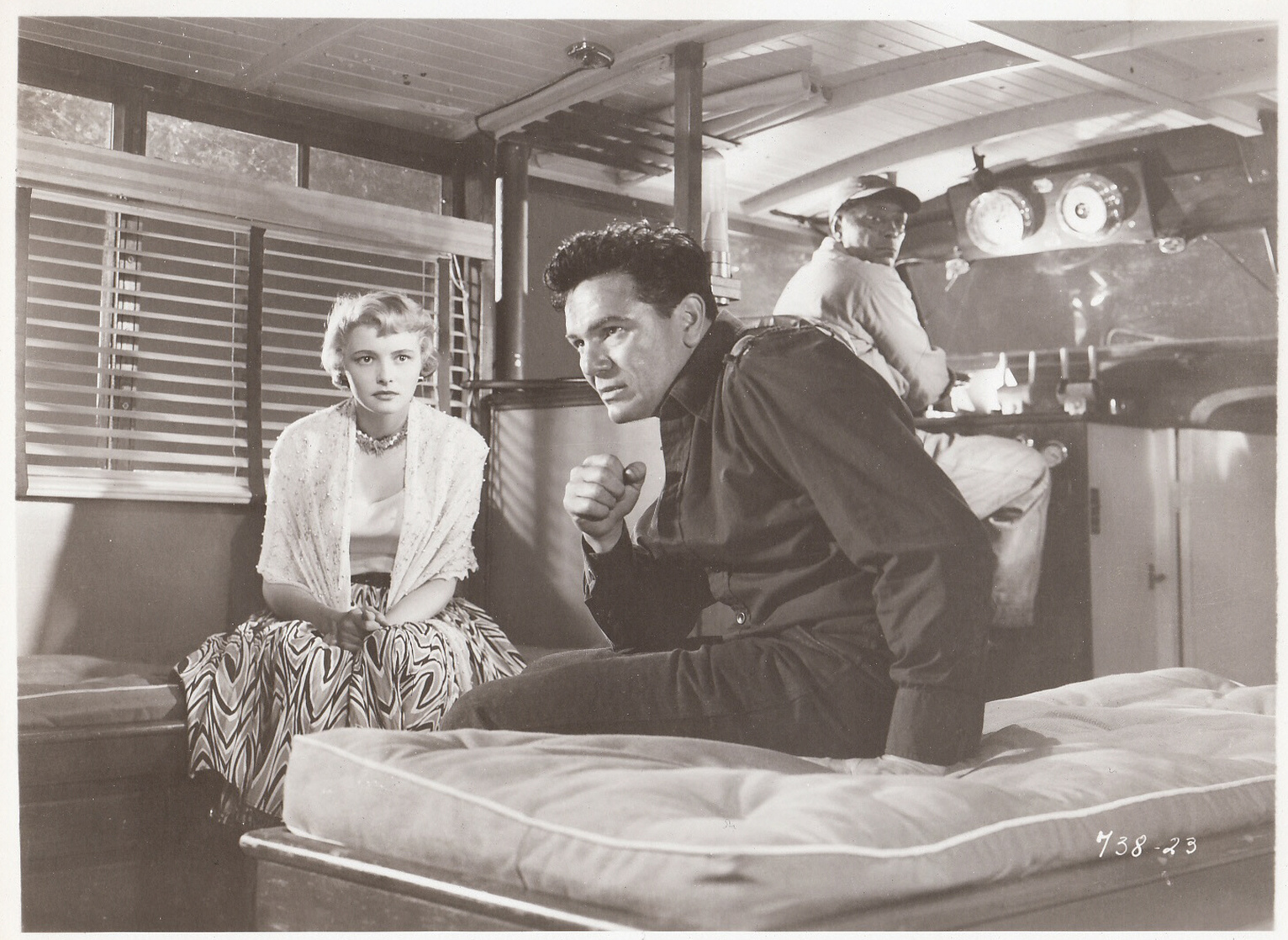 Picture of The Breaking Point (1950)