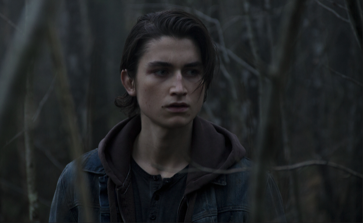 Picture of Jordskott