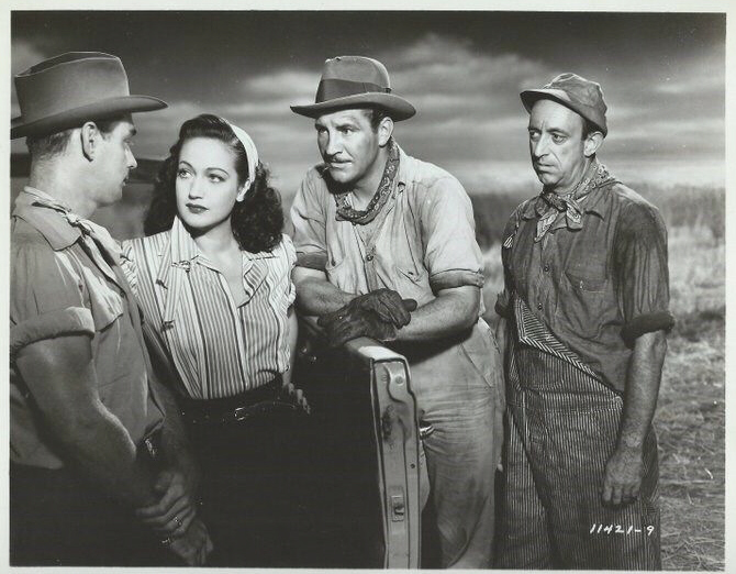 Picture of Wild Harvest