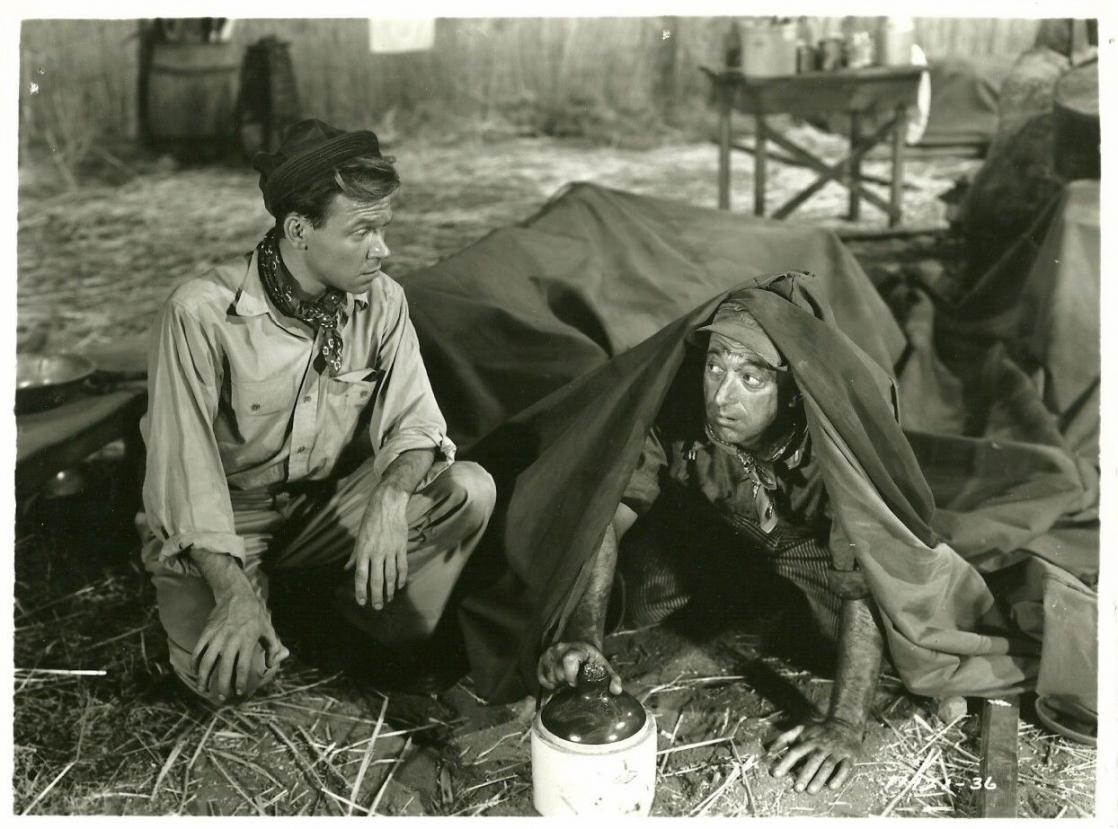 Picture of Wild Harvest