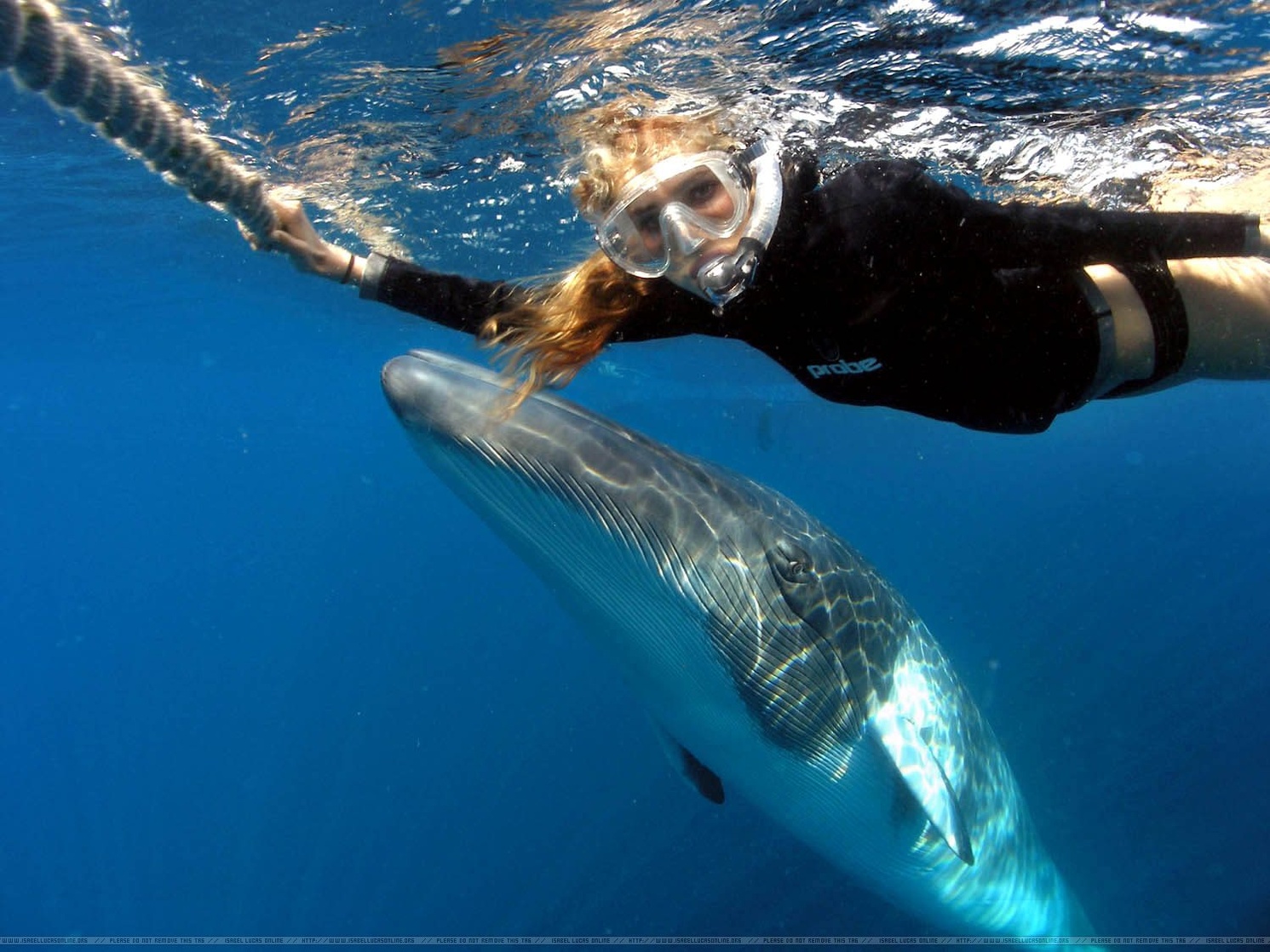 Picture of Isabel Lucas