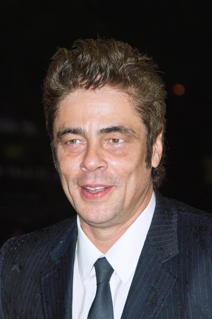 Picture of Benicio Del Toro