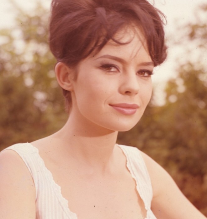 Image of Pascale Petit