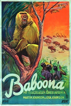 Picture of Baboona
