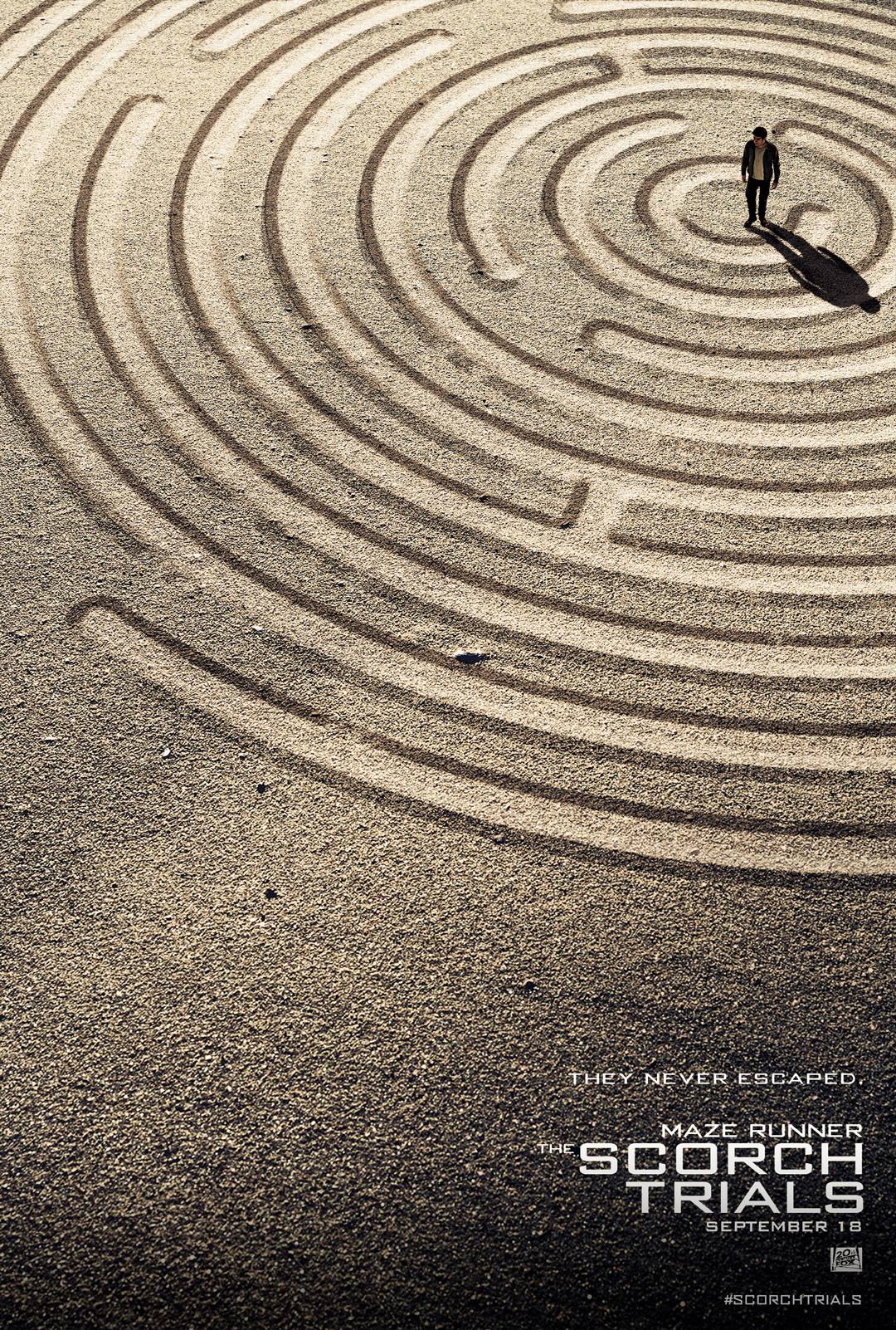 Picture of Maze Runner: The Scorch Trials