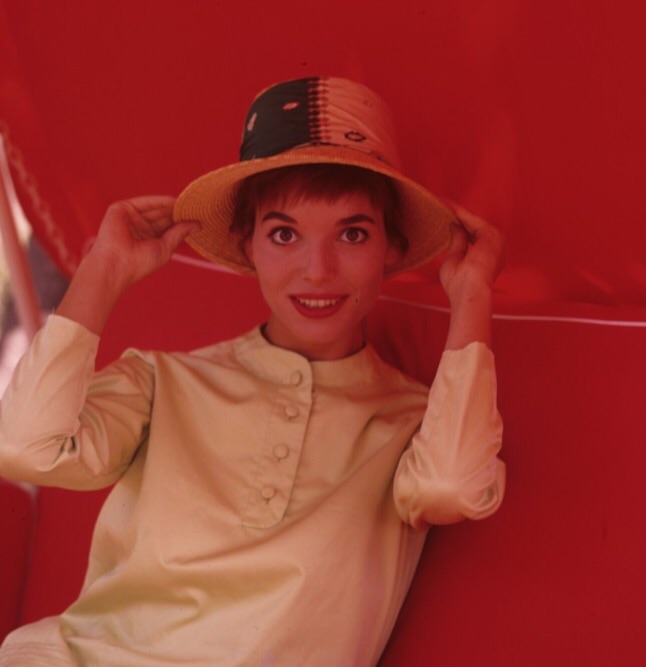 Picture of Elsa Martinelli