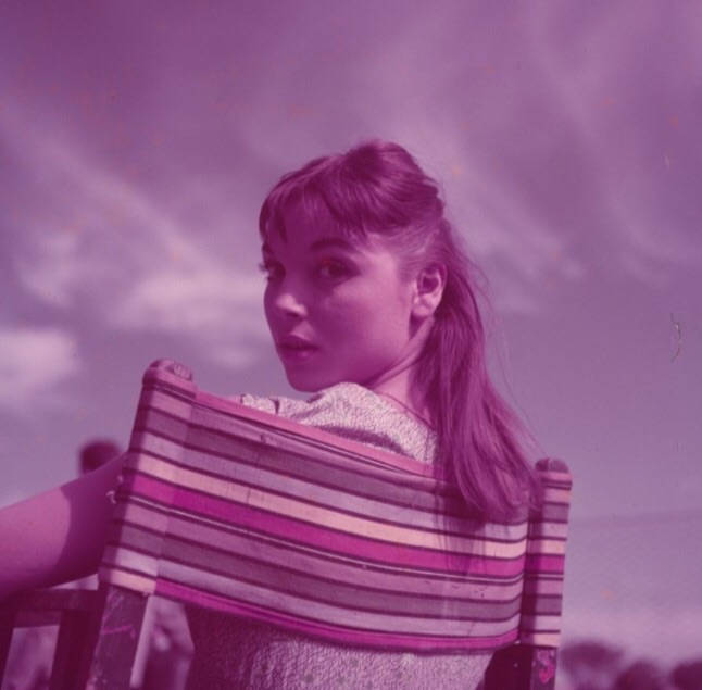 Picture of Elsa Martinelli