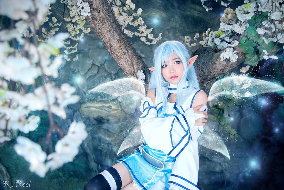 Tomia (토미아) picture