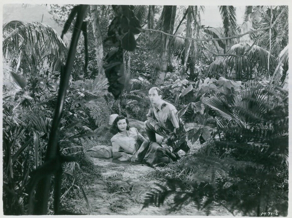 Picture of The Vampire's Ghost