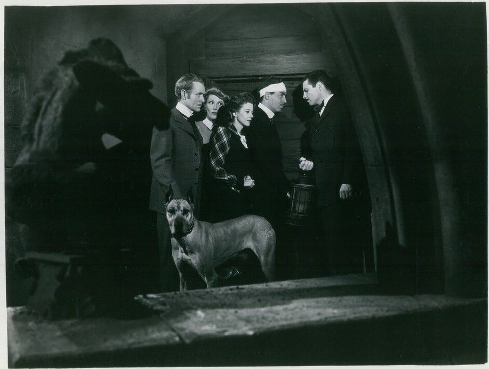 Picture of The Undying Monster