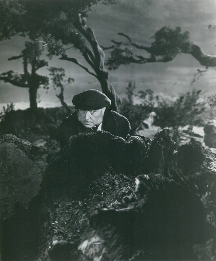 The Undying Monster image