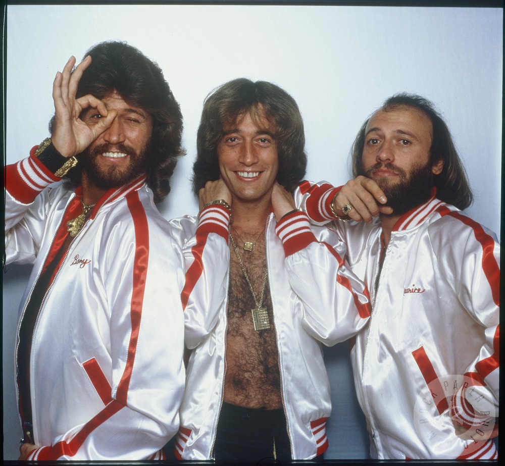 Picture of The Bee Gees