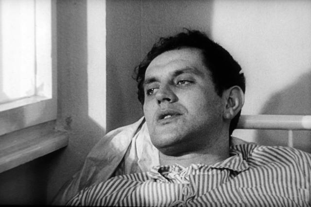 Ljuba Tadic image