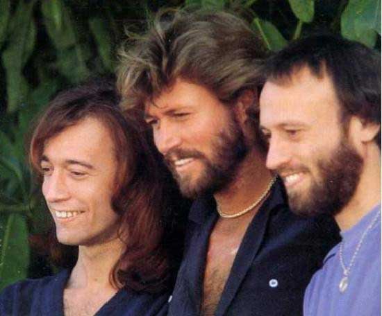 Picture of The Bee Gees
