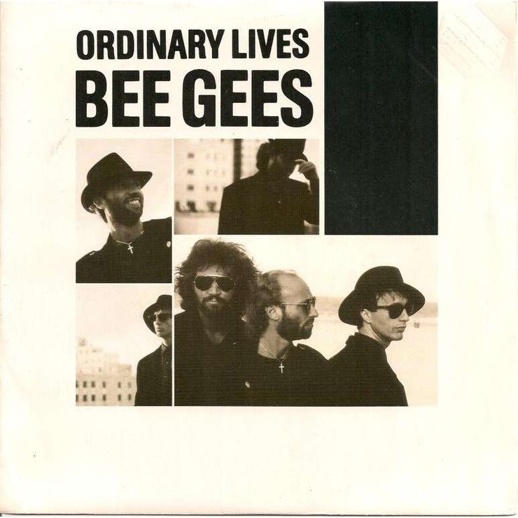 Picture of Ordinary Lives